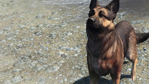 Fallout 4 PSA: You Can Buy Another Dog For Your Settlement - Twinfinite