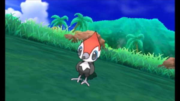 The Evolution of Pokemon's Starting Birds, From Pidgey to Pikipek