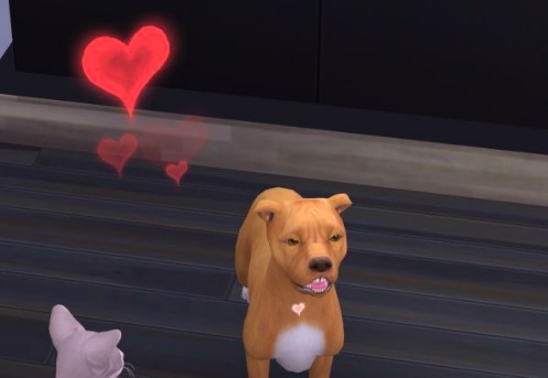 Best Sims 4 Cats & Dogs Mods For Your Pets - Twinfinite