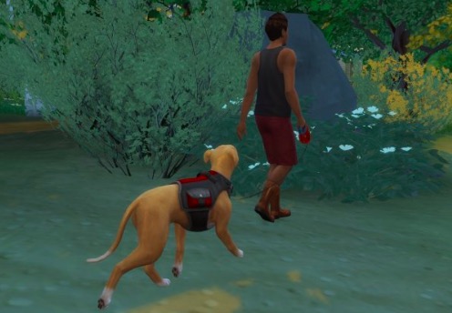 Best Sims 4 Cats & Dogs Mods For Your Pets - Twinfinite