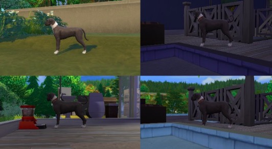 Best Sims 4 Cats & Dogs Mods For Your Pets - Twinfinite