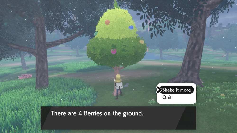Pokemon Sword & Shield Wild Area Explained: What It Is, How It Works & More