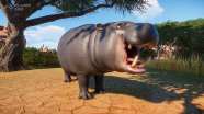 Planet Zoo All Animal Trading Post Animals Planet Zoo All Animal Trading Post Animals