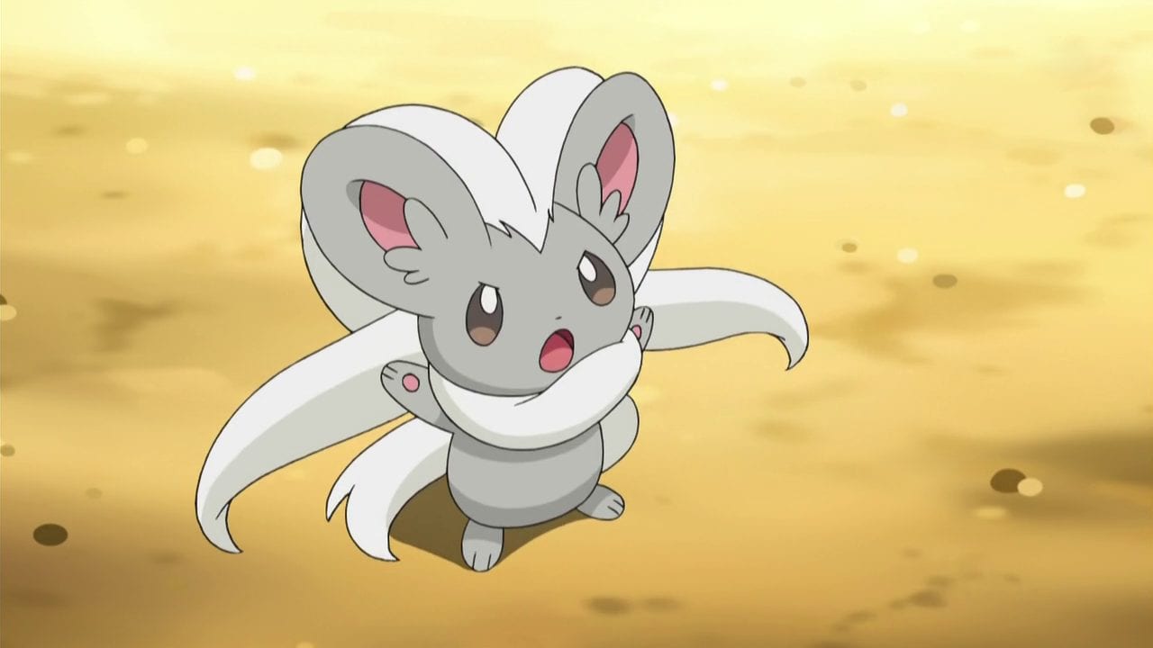 Pokemon Sword and Shield: How to Evolve Minccino Into Cinccino - Twinfinite