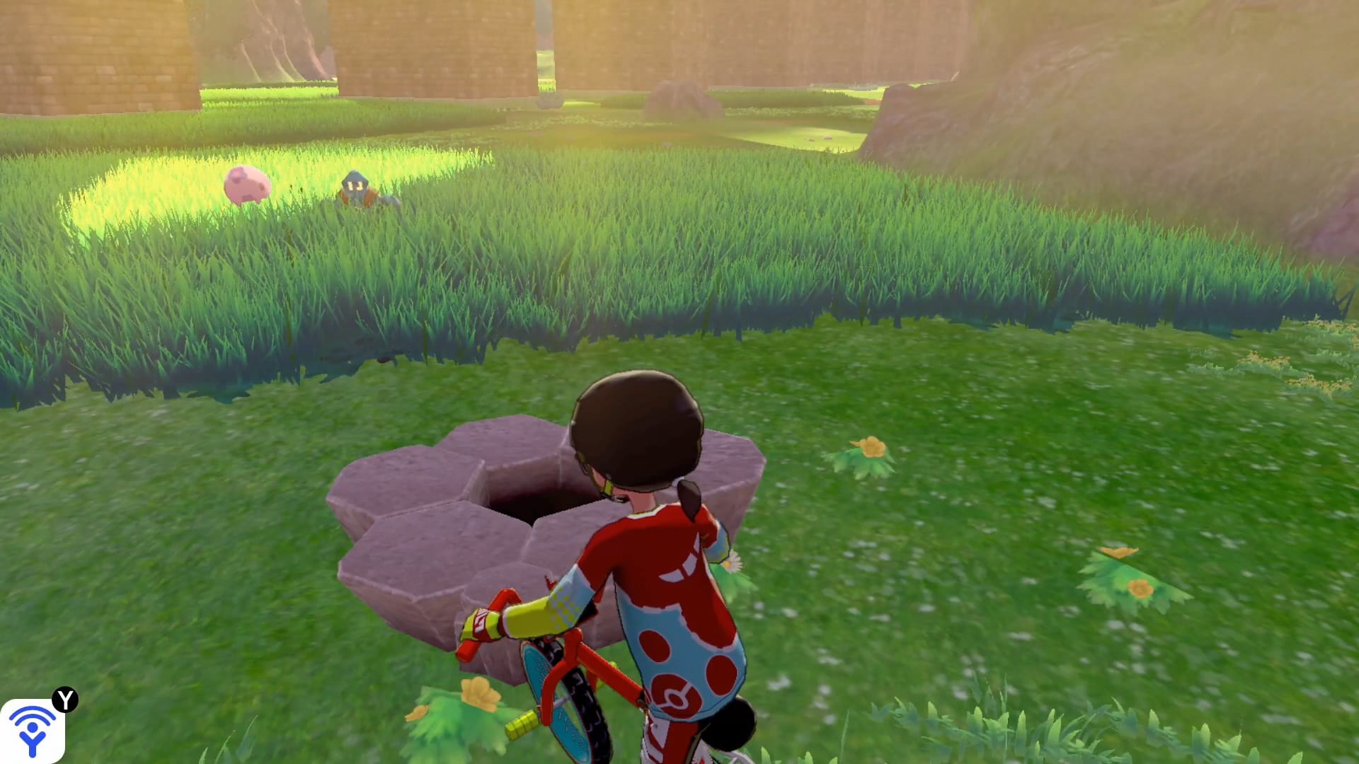 Pokemon Sword & Shield: How to Get 6 IV Ditto - Twinfinite