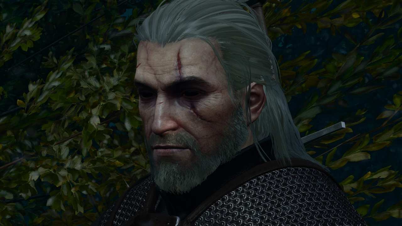 5 The Witcher 3 Mods to Live Your Witcher Netflix Adaptation Fantasy