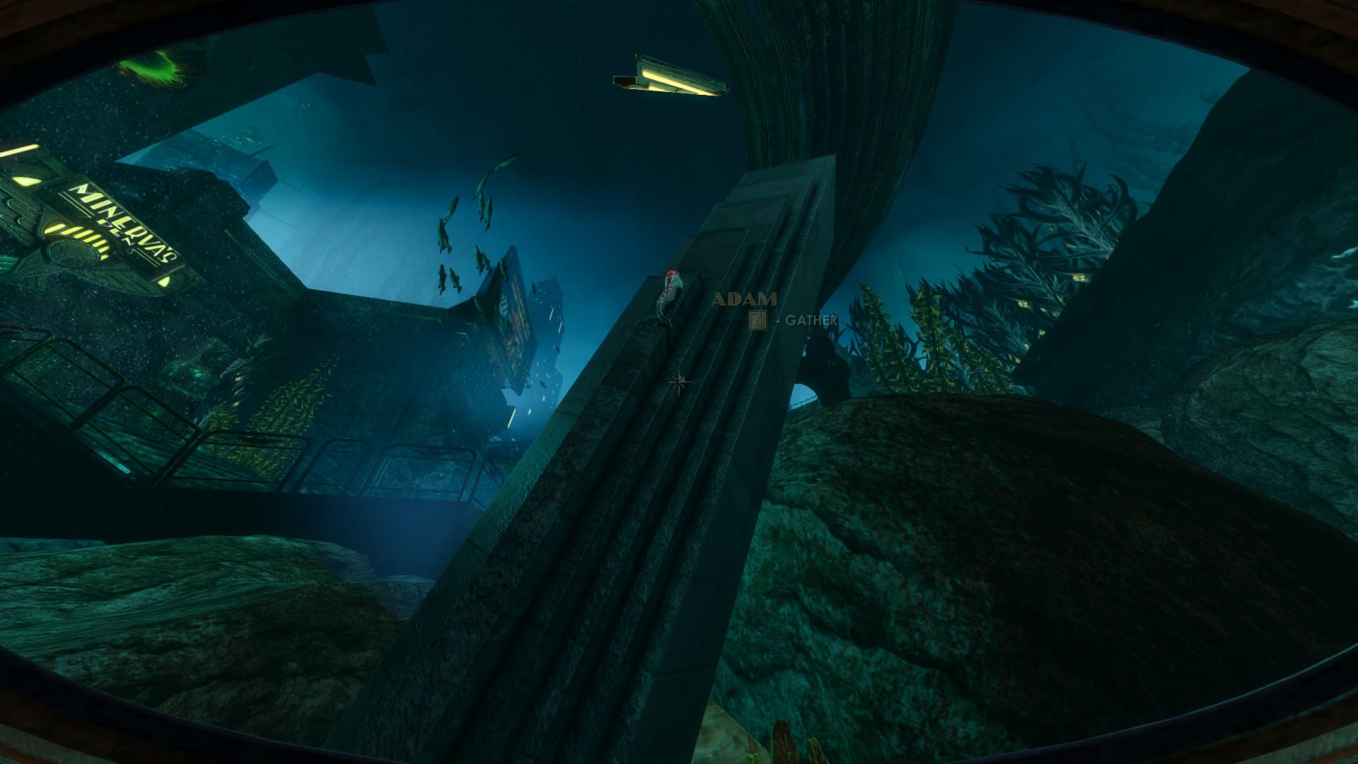 BioShock 2: All Adam Slug Locations - Twinfinite