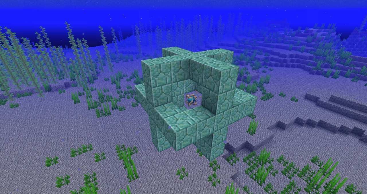 Minecraft: How to Get Nautilus Shells & What They're Used For