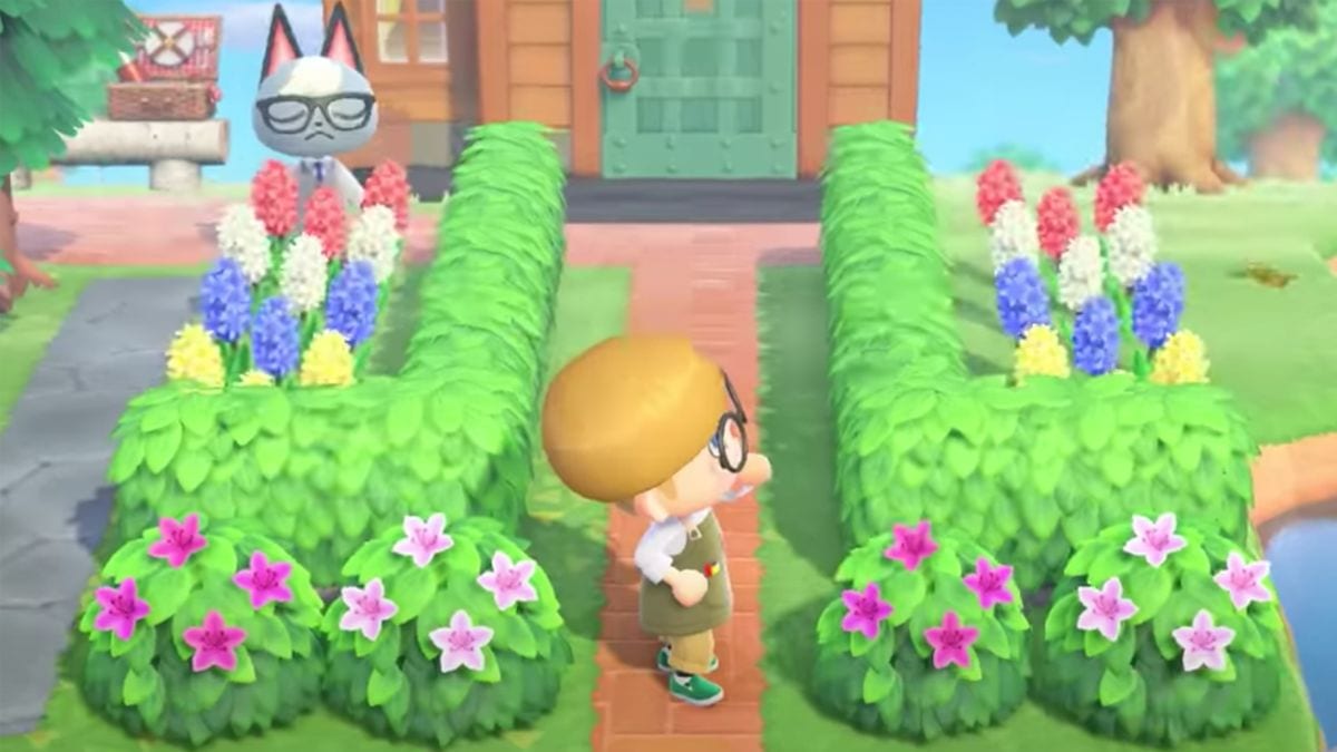 Animal Crossing New Horizons: How to Get Leif to Visit Your Island ...