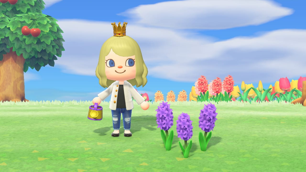 Animal Crossing New Horizons: How to Get Purple Hyacinths - Twinfinite