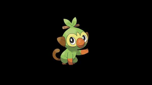 Pokemon Sword & Shield: How to Get Grassy Surge Grookey - Twinfinite