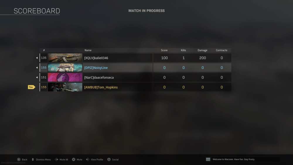 Warzone: How to Unmute Teammates