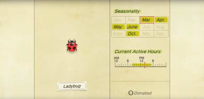 Animal Crossing New Horizons Ladybug: How to Catch, Location, Sell ...