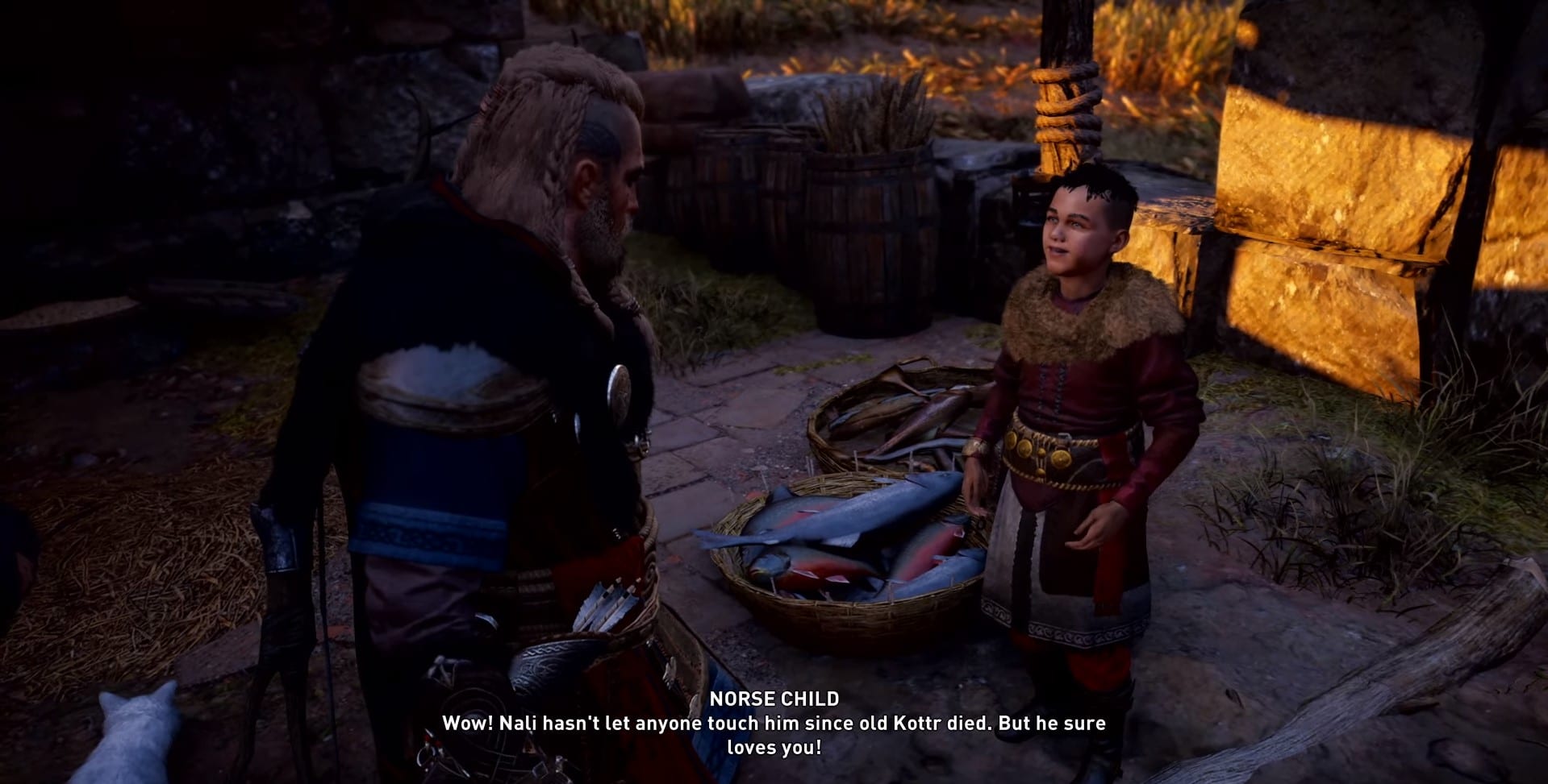 Assassin’s Creed Valhalla: How to Get Viking Raider Cat on Your ...