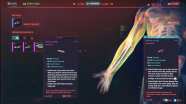 Cyberpunk 2077 Gorilla Arms Best Gorilla Arm Build How To Get Them