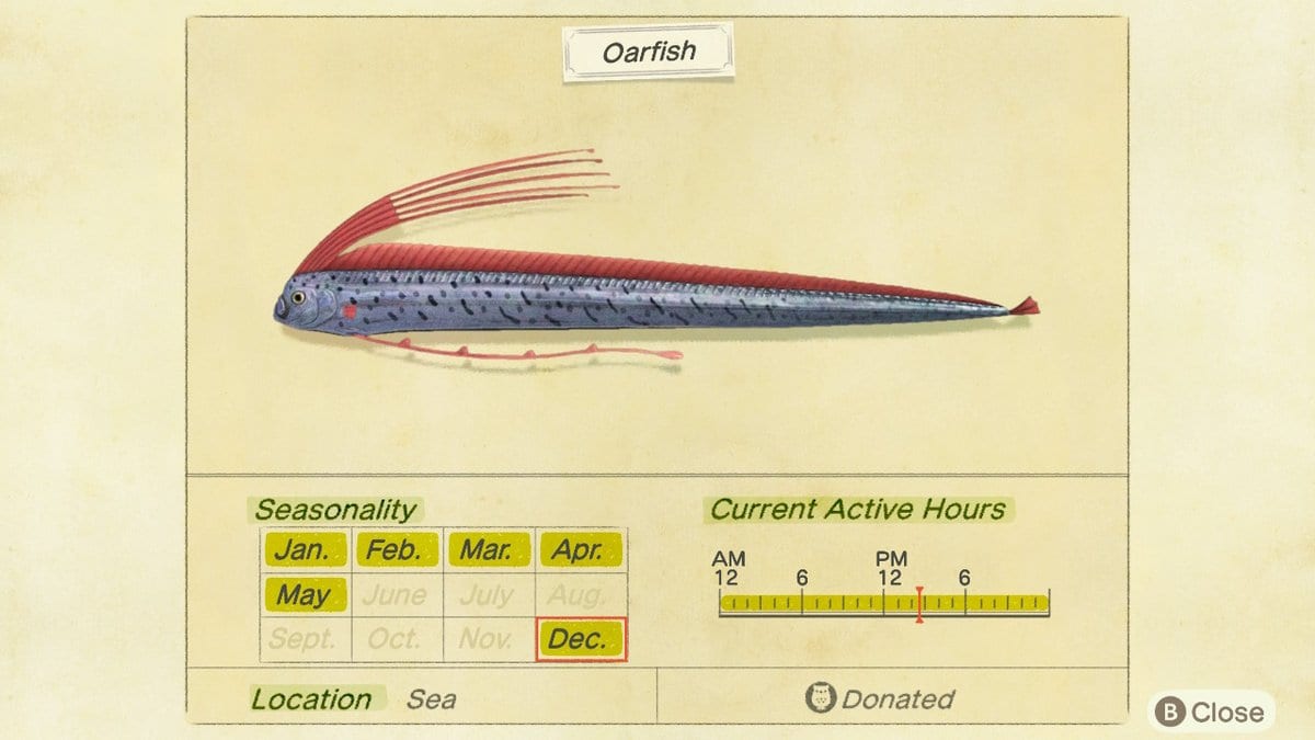 Animal Crossing New Horizons: All New December Fish & Bugs You Can ...