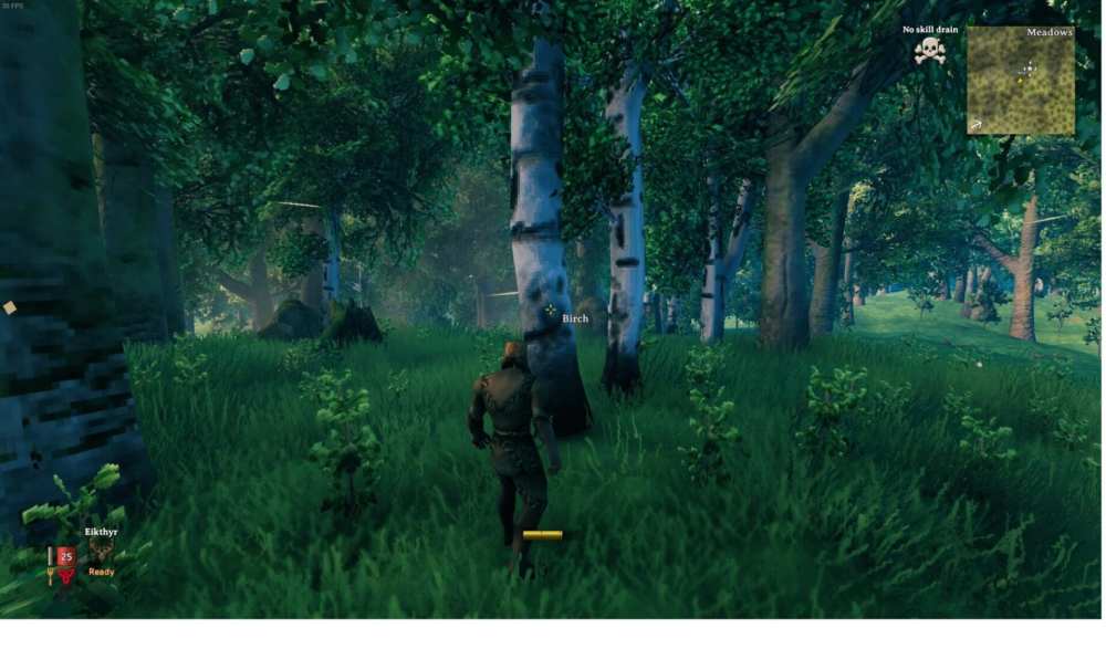 Valheim: Can You Get Birch Seeds? Answered