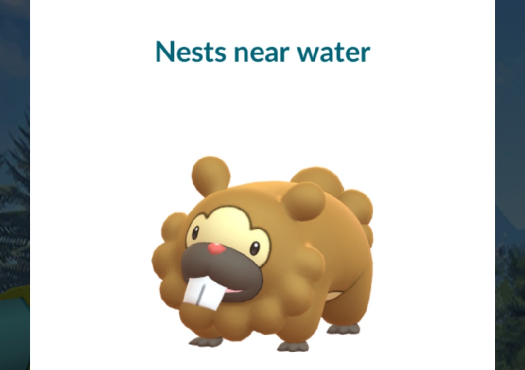 Pokemon GO BIDOOF Special Research Guide: All Tasks, Rewards, & Story ...