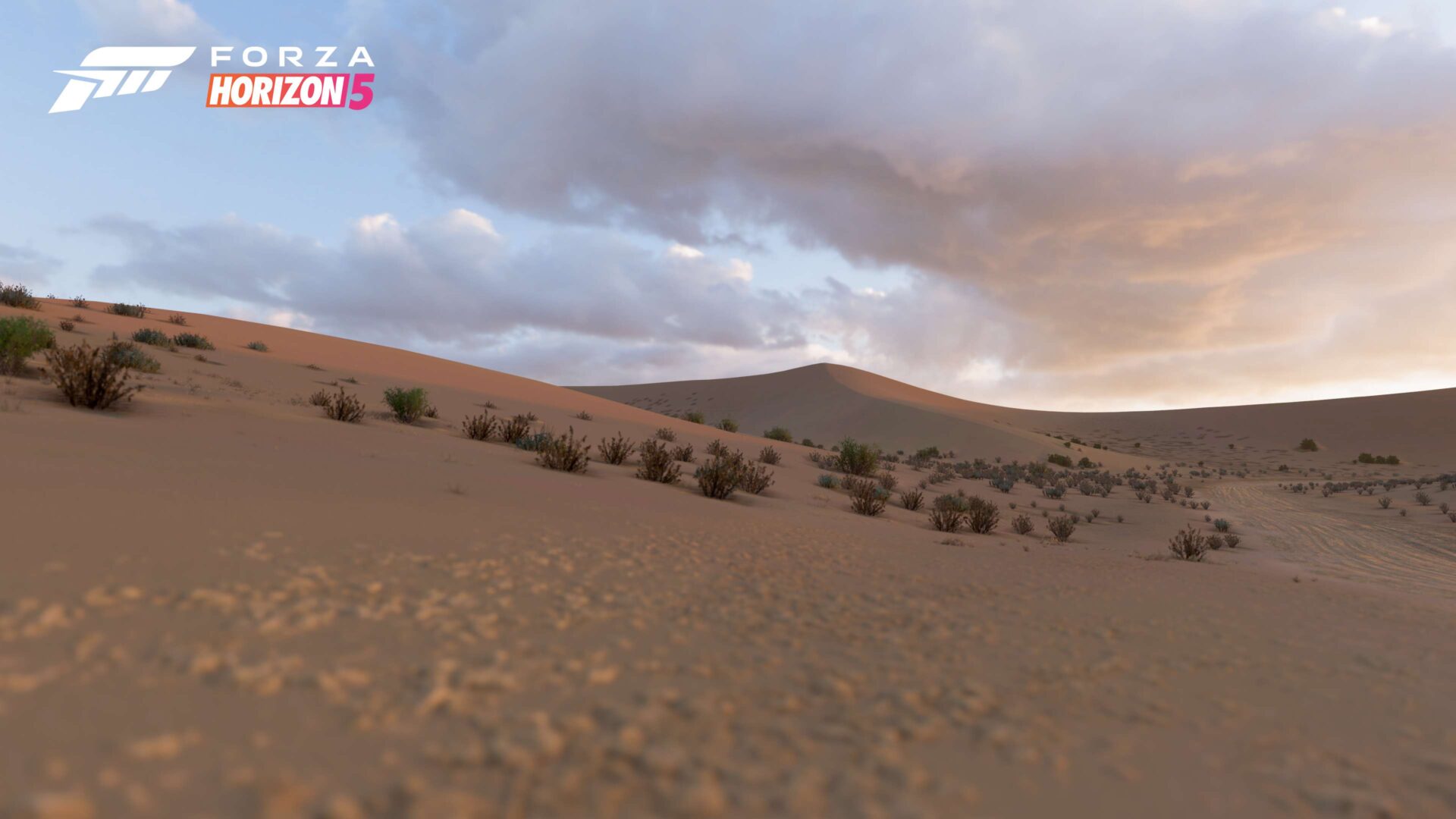 New Information About Forza Horizon 5 Biomes Detailed Alongside ...