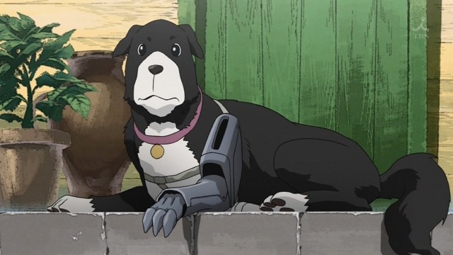 The Hardest Fullmetal Alchemist Quiz You'll Ever Take