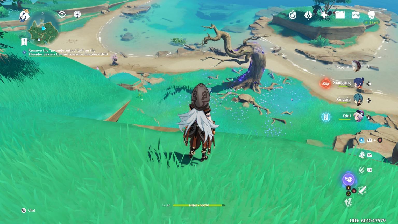 Genshin Impact: Thunder Sakura Locations - Twinfinite