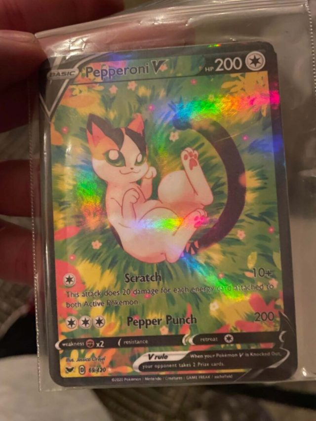 Pokemon Fan Gets a Custom Card of Their Cat as a Birthday Present ...