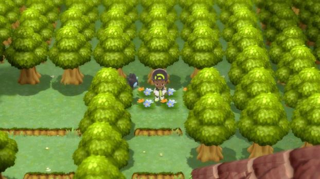 How to Get to Solaceon Ruins in Brilliant Diamond & Shining Pearl ...