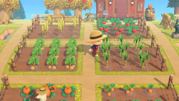 Animal Crossing New Horizons Cooking Guide: How to Get Ingredients ...