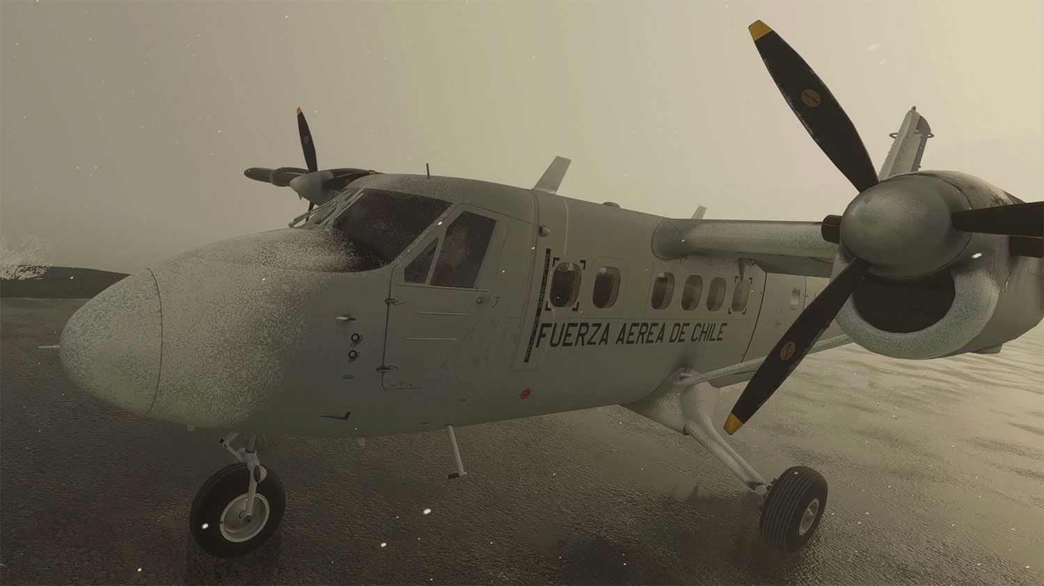 Microsoft Flight Simulator Twin Otter Released; Grumman Goose Gets New ...