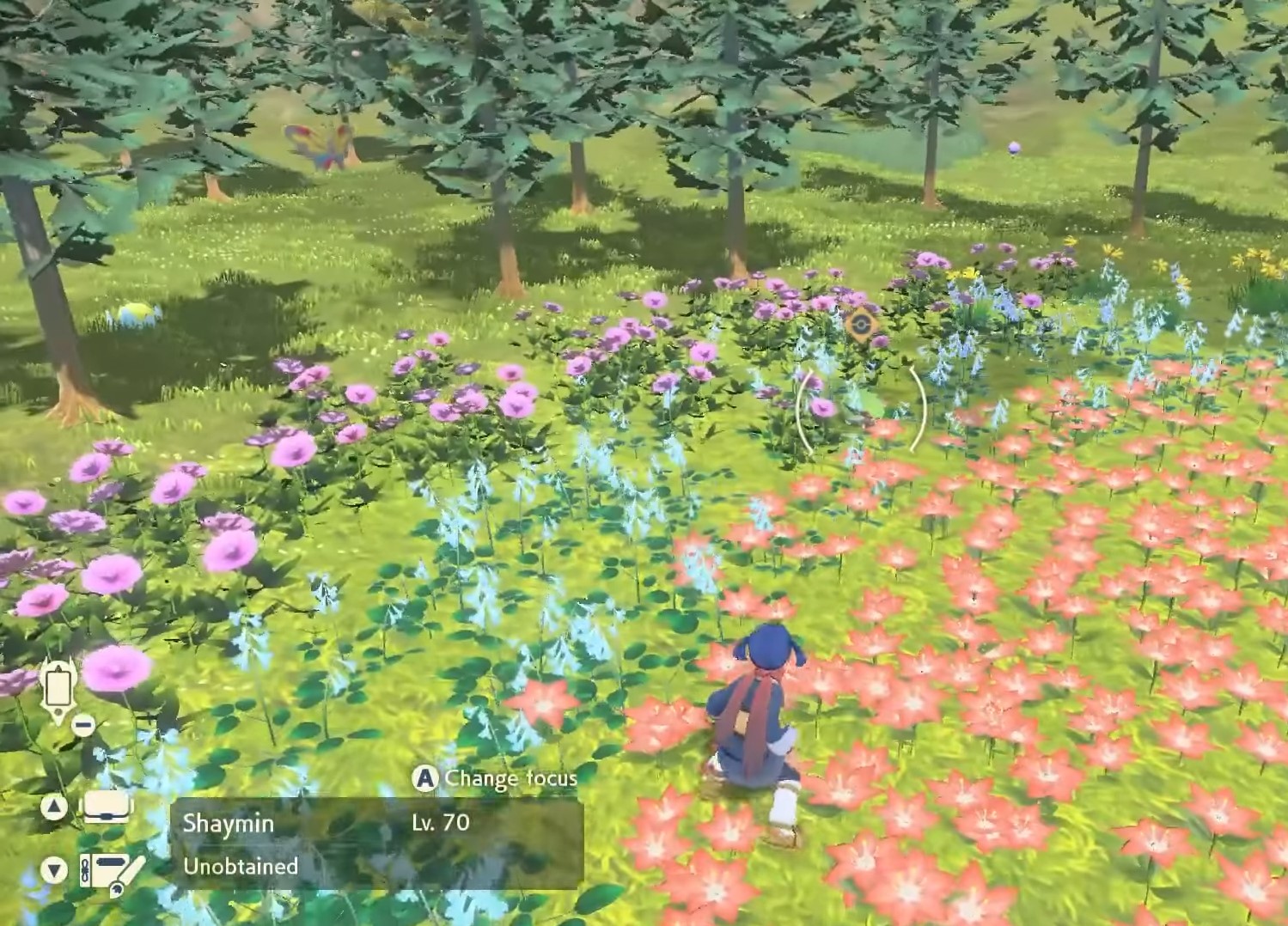 Pokemon Legends Arceus: How to Catch Shaymin ('A Token of Gratitude ...