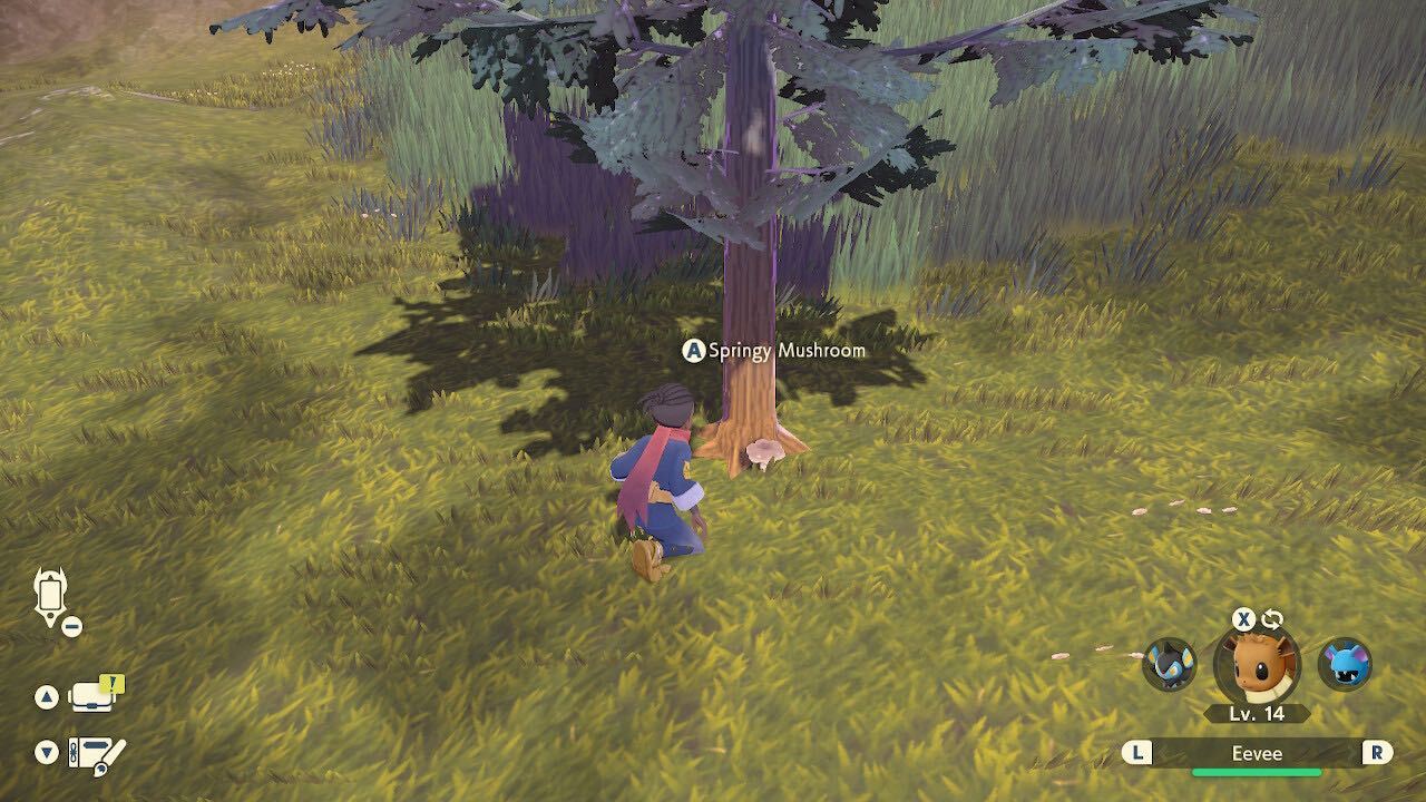 Pokemon Legends Arceus: How to Get Springy Mushroom - Twinfinite