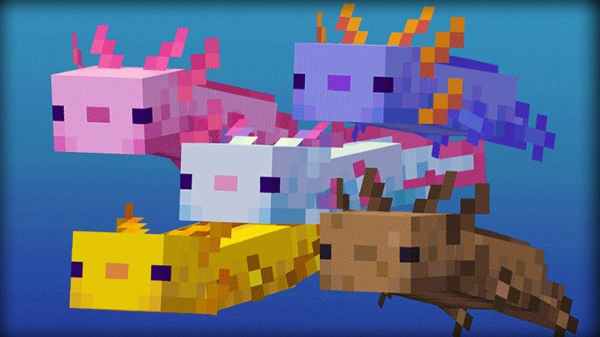 All Axolotl Colors in Minecraft - Twinfinite