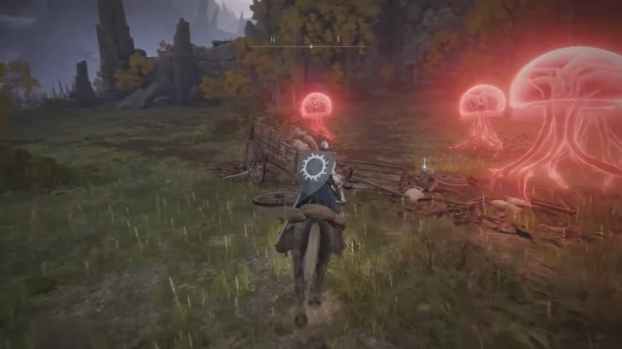 How to Get Jellyfish Shield in Elden Ring (& Stat Requirements) - Twinfinite