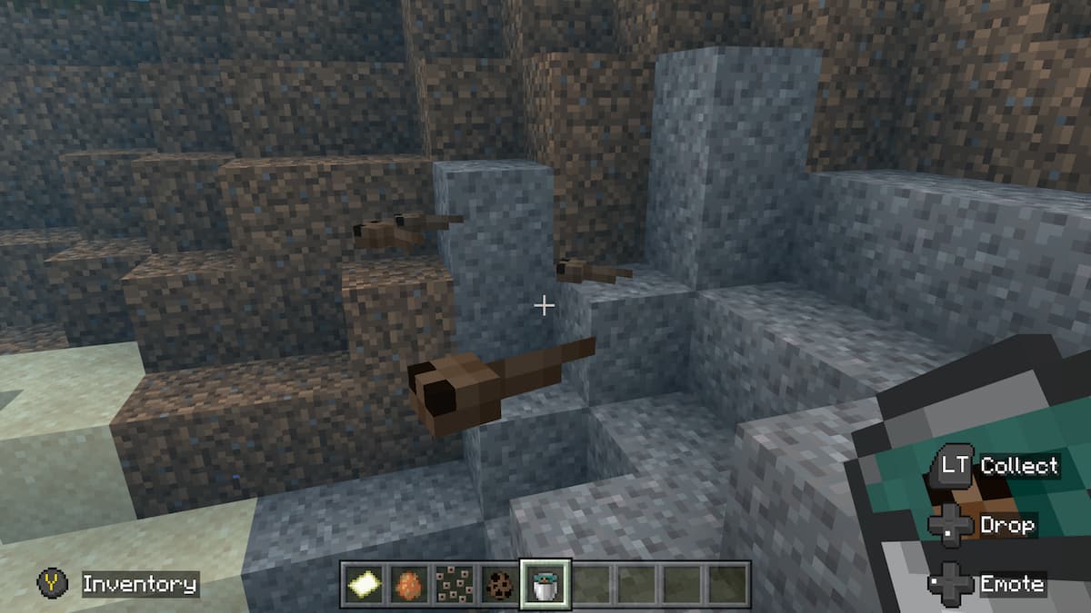 Where to Find Tadpoles in Minecraft - Twinfinite