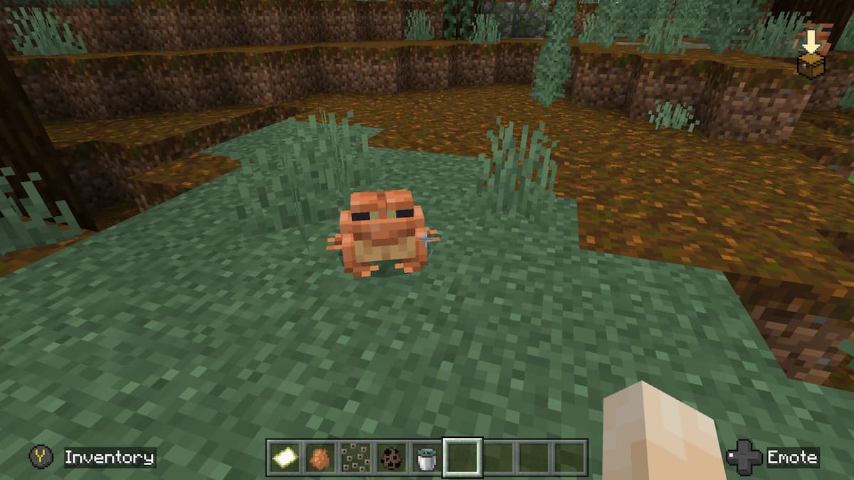 Where to Find Frogs in Minecraft - Twinfinite