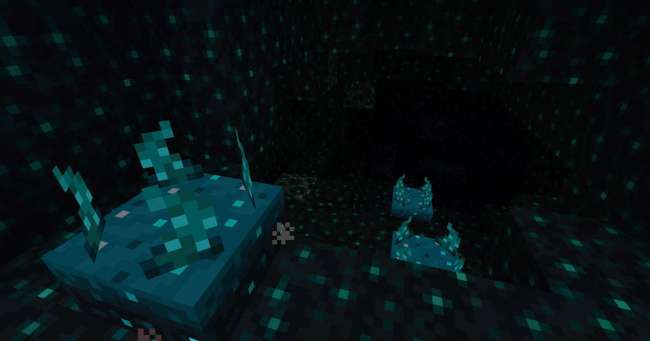 Where to Find Sculk Blocks in Minecraft - Twinfinite