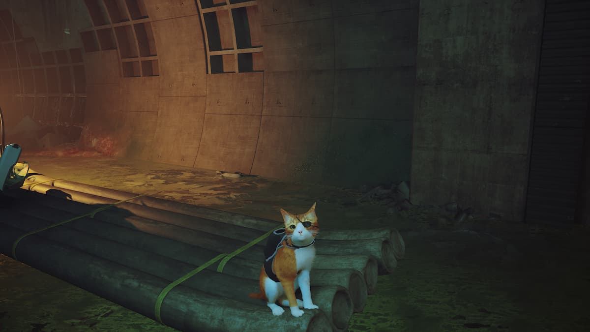 Top 5 Best Stray Mods You Should Install - Twinfinite