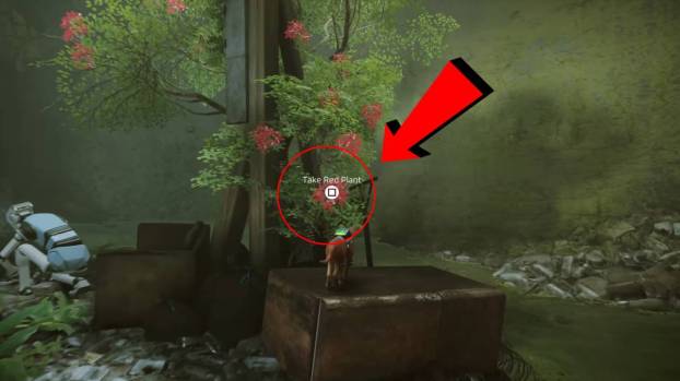 Stray Flower Locations: Where to Find Red, Yellow & Purple Plants for ...