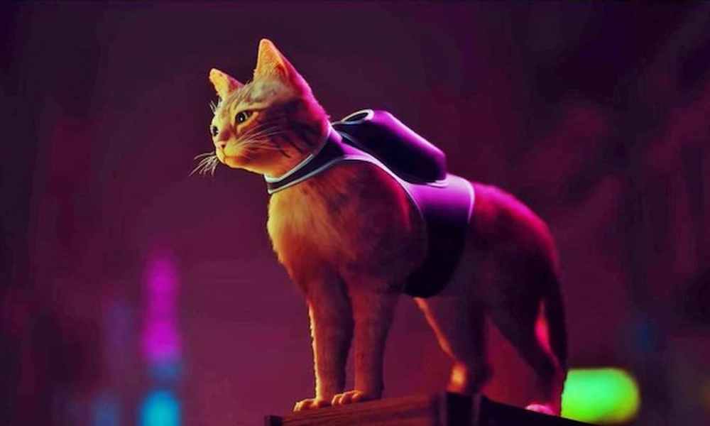 How to Nuzzle Up Against Robots in Stray (Cat's Best Friend Trophy)