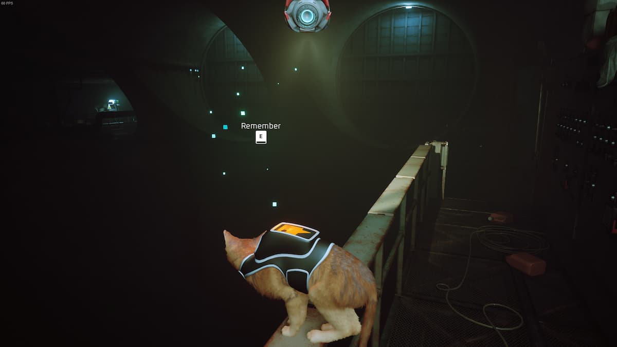 Stray: All B12 Memory Locations - Twinfinite