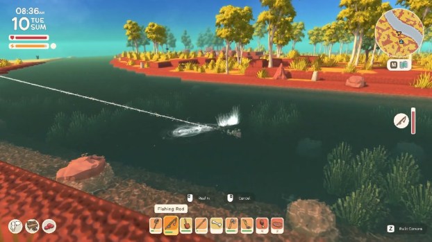 Dinkum Fishing Guide: How to Catch Fish - Twinfinite