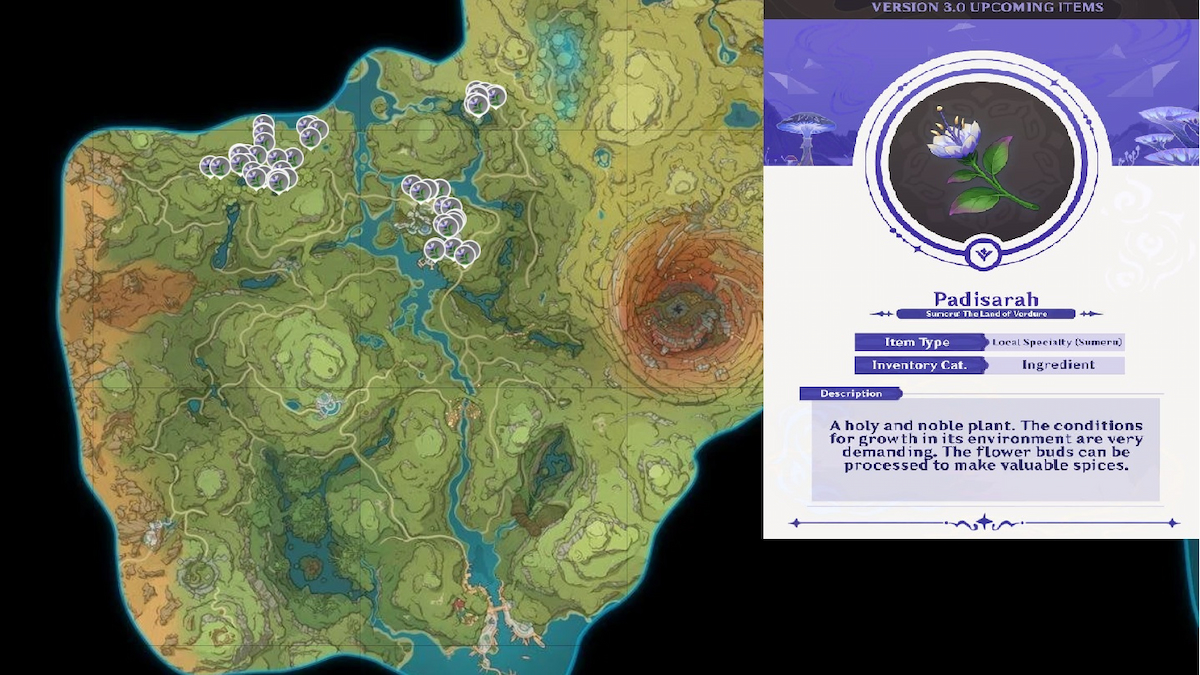 Where to Get Padisarah in Genshin Impact - Twinfinite