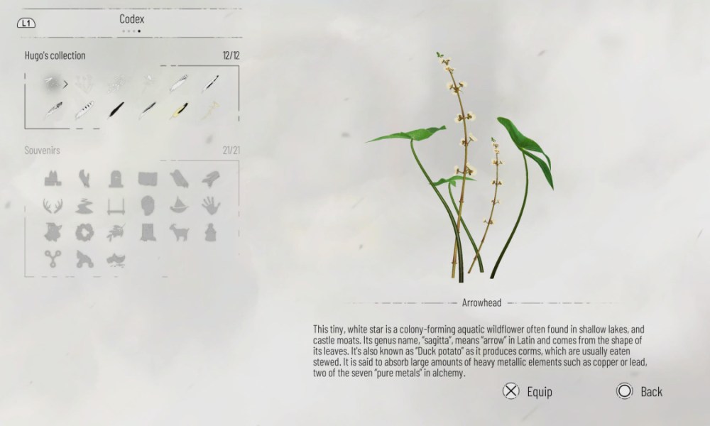 Where to Find Every Herbarium Flower in A Plague Tale Requiem ...