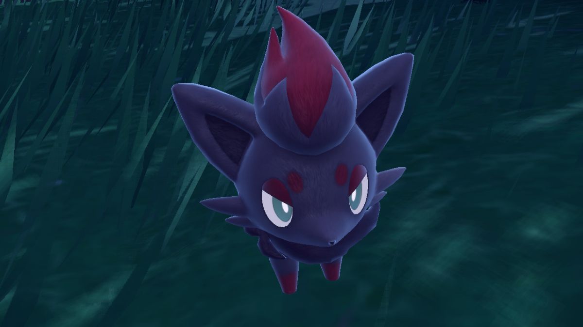 How to Find & Catch Zorua in Pokemon Scarlet & Violet - Twinfinite