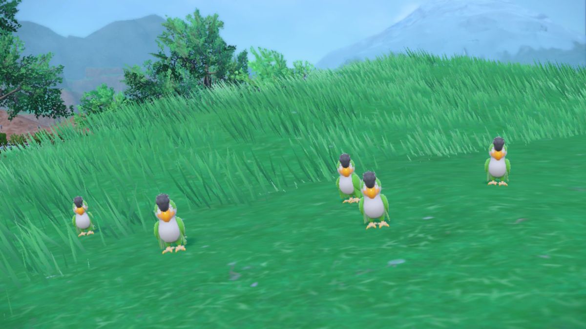 Where To Find All Squawkabilly Forms in Pokemon Scarlet & Violet ...