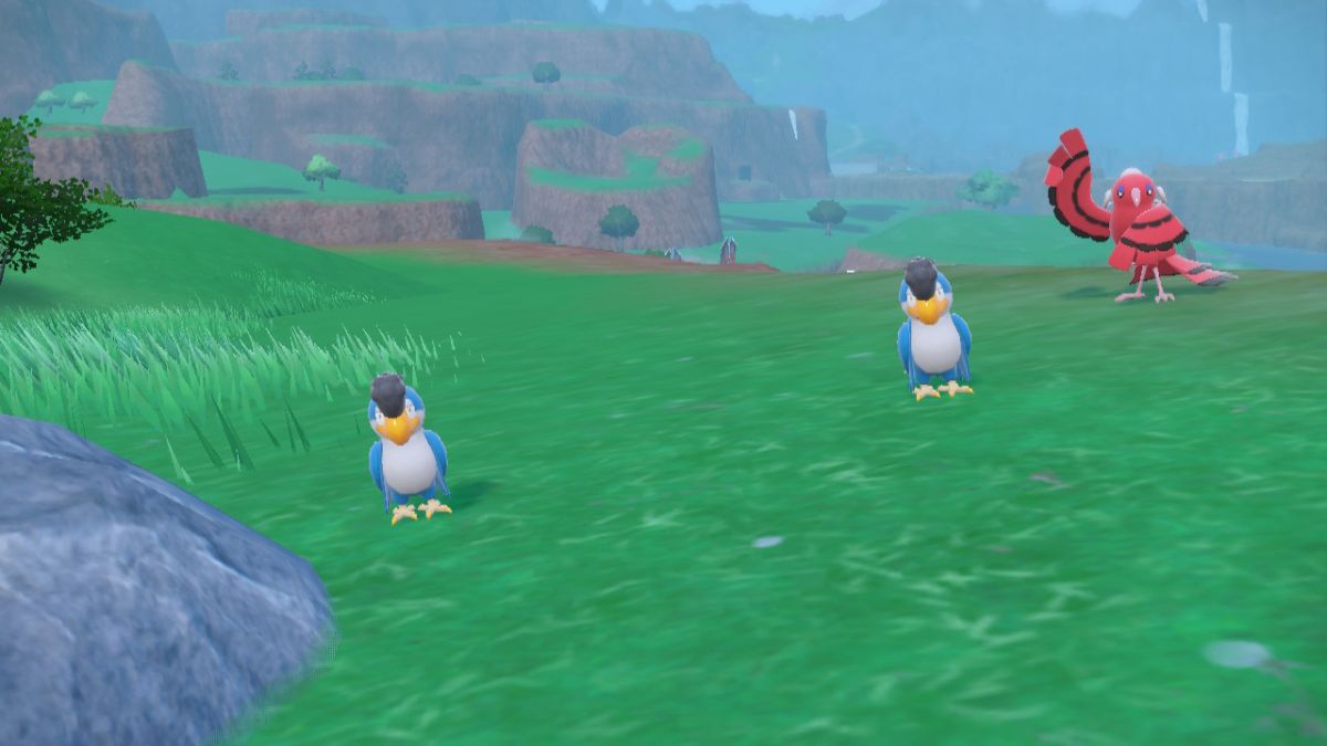 Where To Find All Squawkabilly Forms in Pokemon Scarlet & Violet ...