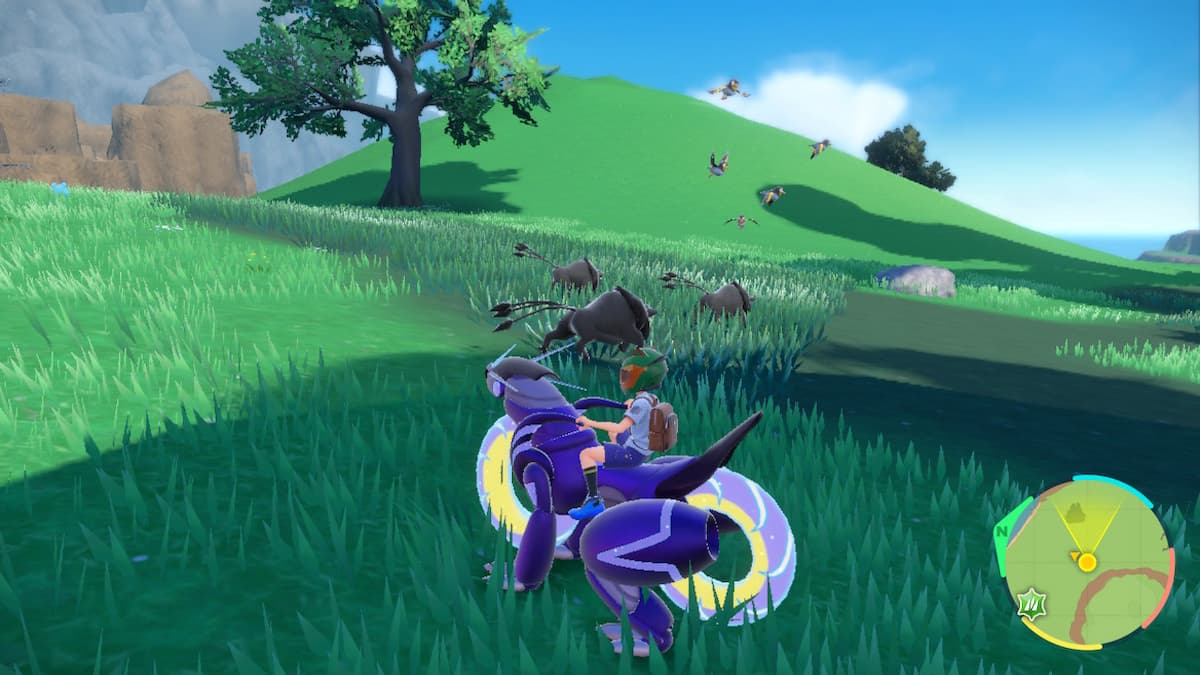 Where to Find & Catch All Paldean Tauros Forms in Pokemon Scarlet ...