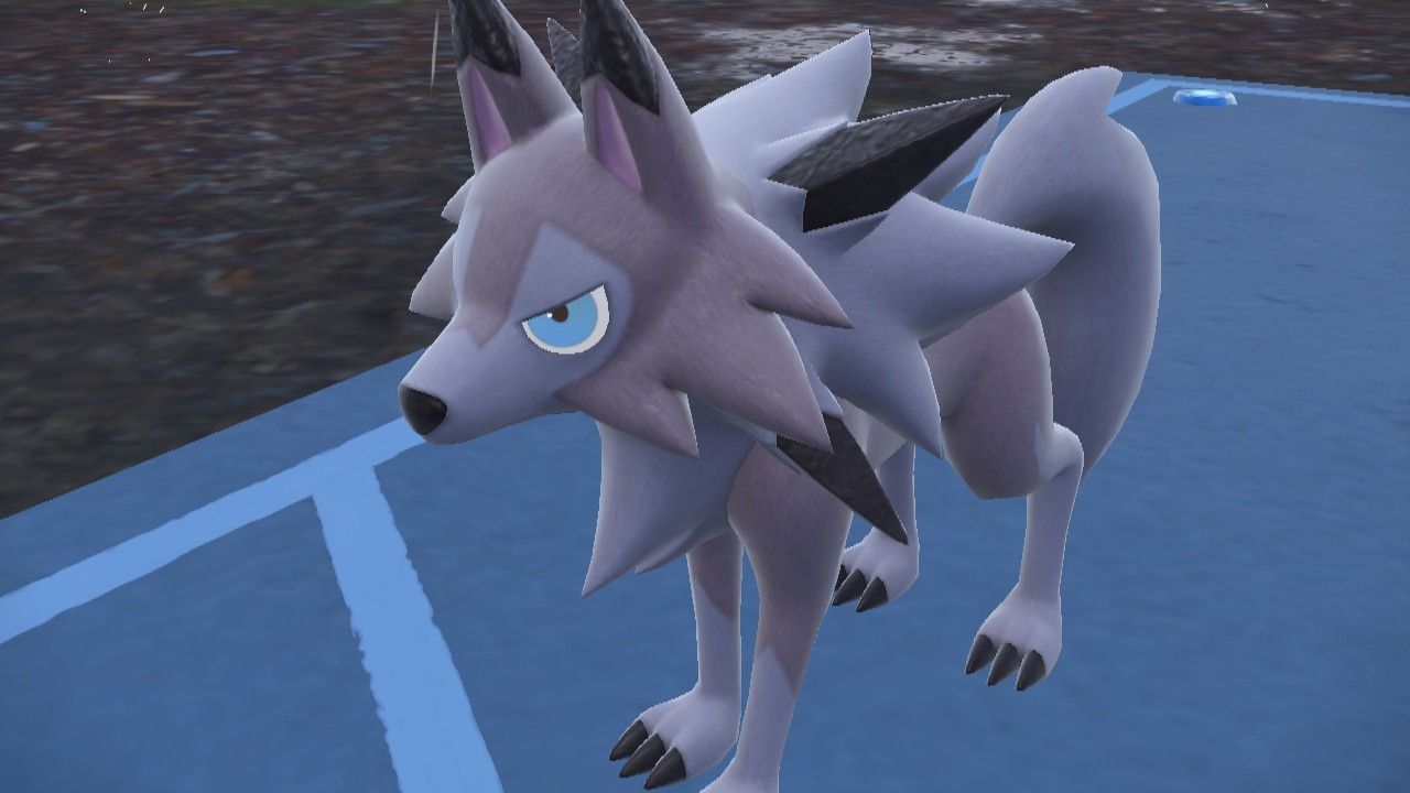 How to Get All Lycanroc Forms in Pokemon Scarlet & Violet - Twinfinite