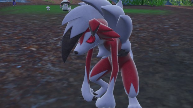 How to Get All Lycanroc Forms in Pokemon Scarlet & Violet - Twinfinite