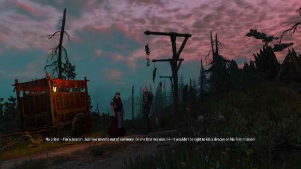 How to Get All New Armor Sets in The Witcher 3 Complete Edition ...
